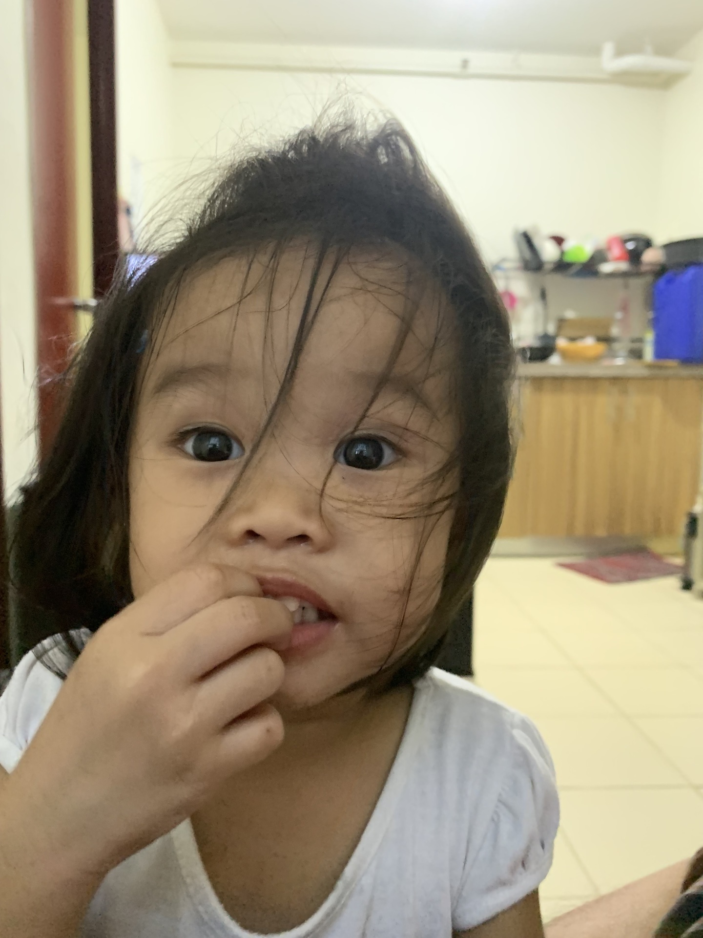 2023/8/8 Daddy is back 0.39PHP: マニラ移住計画（プチ移住編）